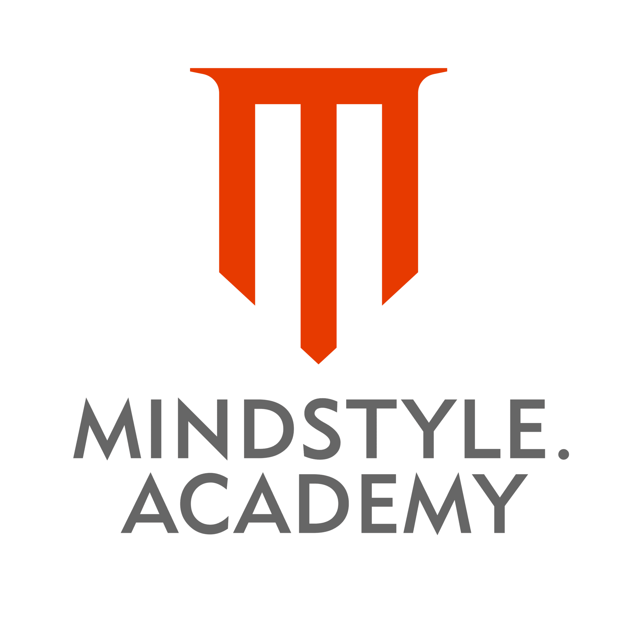 Mindstlye Akademie - World of Mindstyle
